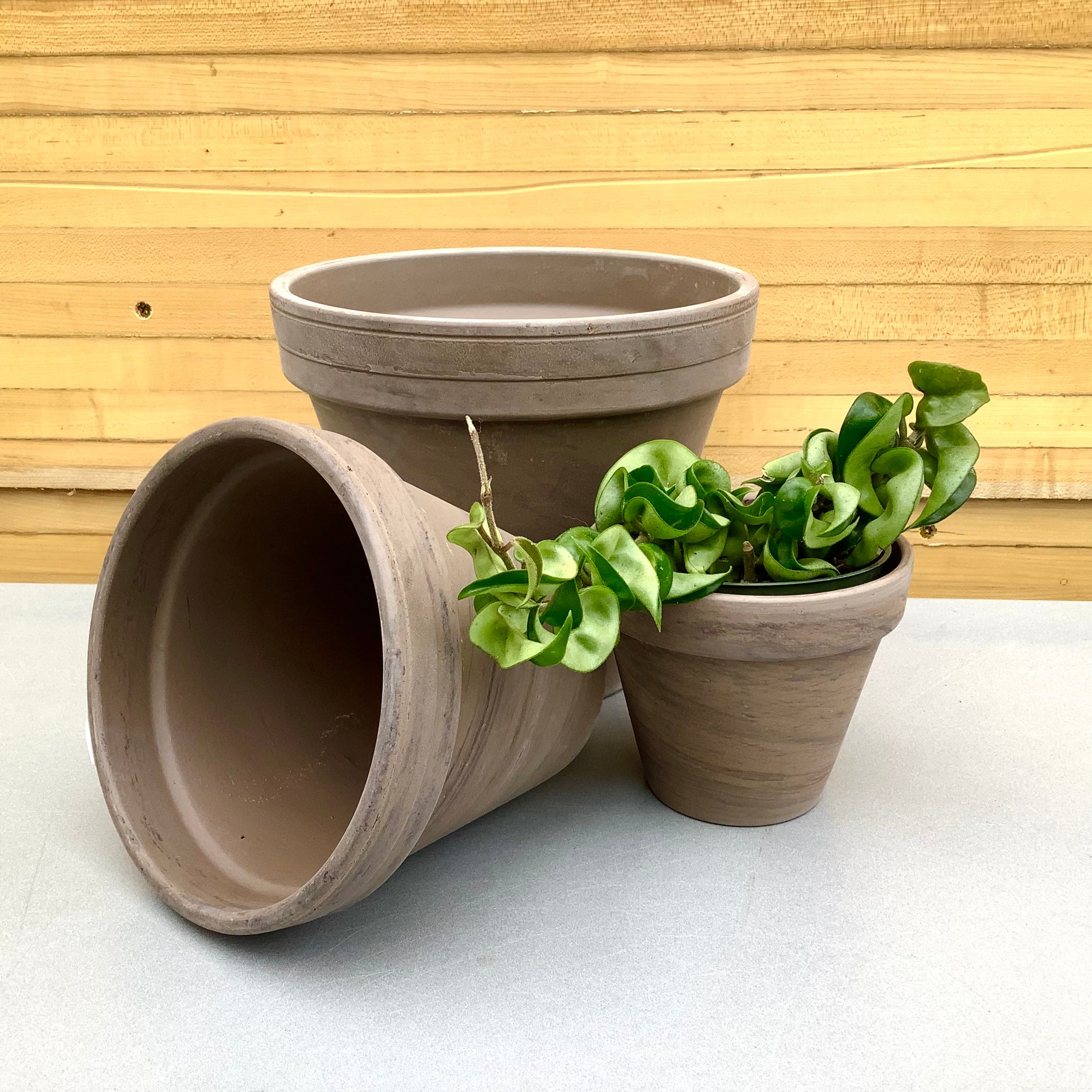 cool earth pots