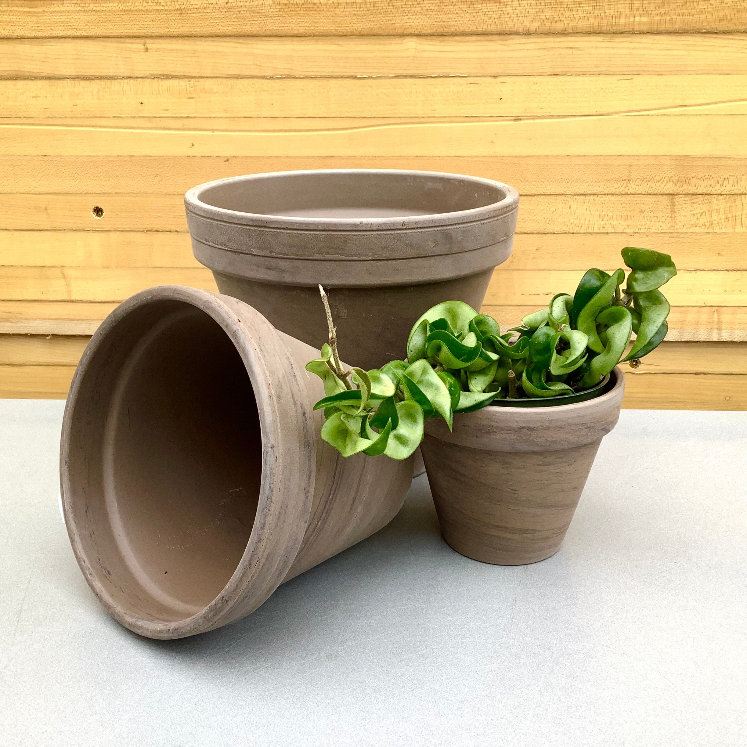 Dark Basalt Pots | Down to Earth | Pottery | Down to Earth